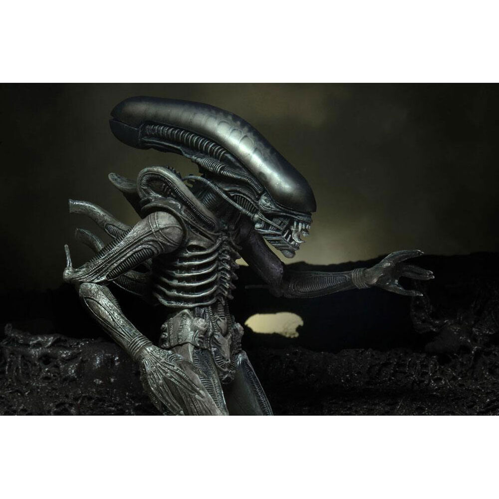 Alien 40. évforduló. Serie 4 The Alien figura 18cm | Fanbase webshop